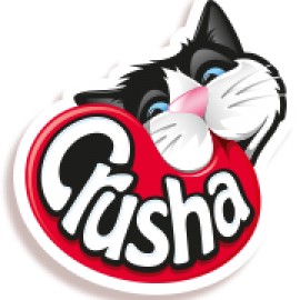 Crusha Chocolate Milkshake Syrup 1 Ltr